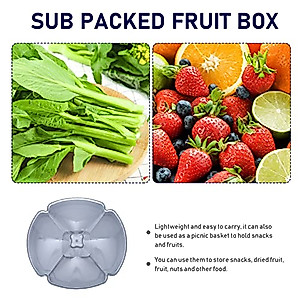 UPKOCH Chips Serving Trays Dry Food Snack Tray Blue: Portable Food Serving Tray with Lid Multi Grid Dry Fruit Tray Snacks Plate for Veggies Candy Plastic