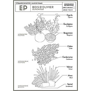 Compagnie de Provence Savon de Marseille Extra Pure Liquid Soap - Olive Wood - 10 Fl Oz Plastic Pump Bottle