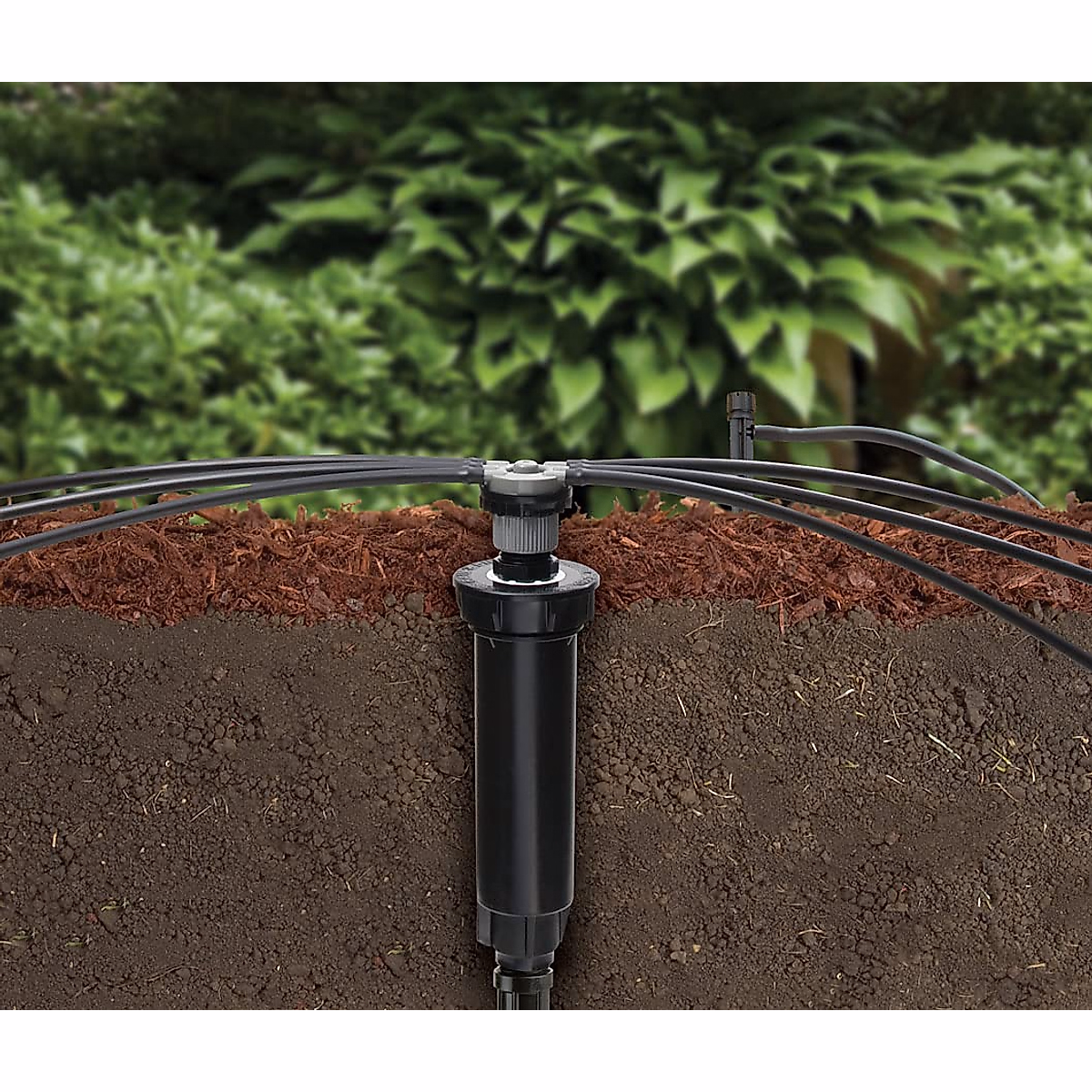 Rain Bird CNV182MBS Drip Irrigation Sprinkler Conversion Kit, 1800 Pop-Up to 6 Drip Micro Bubblers with 1/4" Tubing