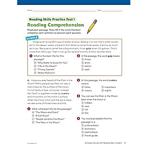 Scholastic Success with Reading Tests Grade 3 Workbook