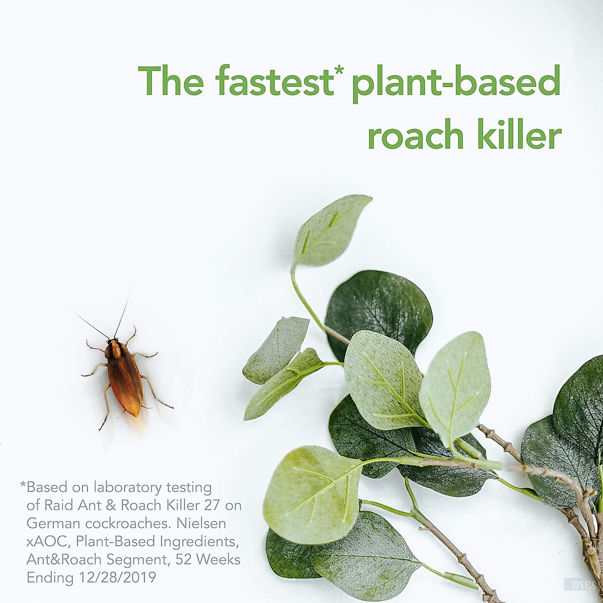 Raid Essentials Ant Spider, and Roach Killer Aerosol Spray, Child & Pet Safe, Kills Insects Quickly, for Indoor Use 10 Ounce (Pack of 3)