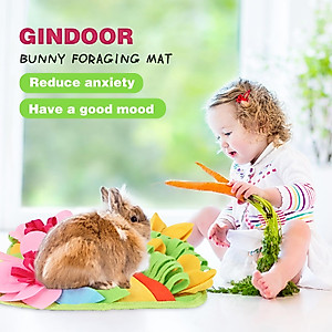 GINDOOR Rabbit Foraging Mat Interactive Bunny Feeding Mat Machine Washable Polar Fleece Small Animal Snuffle Mat Treat Dispenser for Rabbit Guinea Pigs Ferret
