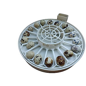 Coturnix Quail Turner Tray Compatible with The Kebonnix Incubator
