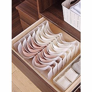 Closet Underwear Organizer Drawer Divider, Wardrobe Plastic Bra Storage Box,6pcs/Set,White