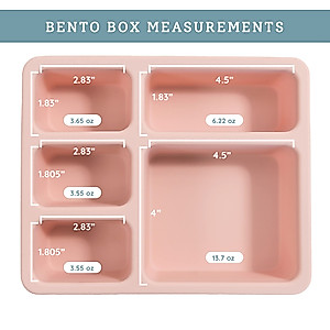 Austin Baby Co Leak-Proof Bento Lunch Box for Kids – Silicone Kids Lunch Container with 5 Leakproof Compartments – Food-Safe Materials, Sturdy, Dishwasher Safe, and BPA Free