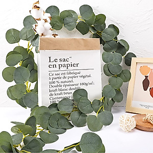 Whonline 8pcs 48ft Artificial Eucalyptus Garland, Silver Dollar Eucalyptus Leaves Vine, Faux Greenery Garland Bulk for Wedding Garland, Centerpieces for Tables, Home Decor, Arch Wall Decoration