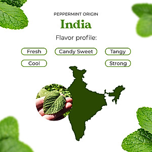 Sun Essential Oils - Peppermint 4oz Bottle for Diffuser, Humidifier, Aromatherapy, Personal & Home Care - Therapeutic Grade Peppermint Essential Oil - Peppermint Fragrance Oil for Candle Making