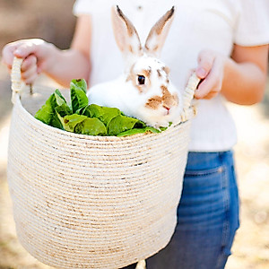 Design Ideas Maiz Large Basket 13.4" x 13.4" x 13.4" Corn Leaf Woven Basket with Handles, Home Decor Storage Basket