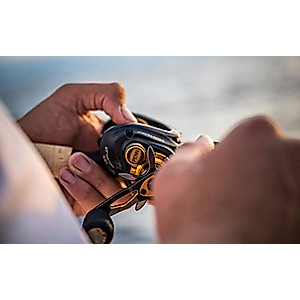 Penn Fathom Low Profile Reel Black Gold 13.9 oz