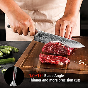 Sunnecko Chef Knife 8 Inch, Damascus Kitchen Knife Japanese Chefs Knife Vg10 High Carbon Stainless Steel