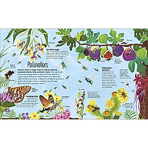 The Book of Brilliant Bugs (The Magic and Mystery of the Natural World)