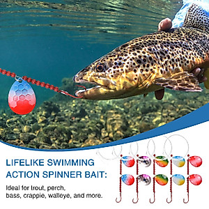 Walleye Harness Spinner Rig, 5 Packs Walleye Rig Fishing Making Kit Colorado Blades Mono Leader Hooks Clevises Beads (Mixed-10Packs)