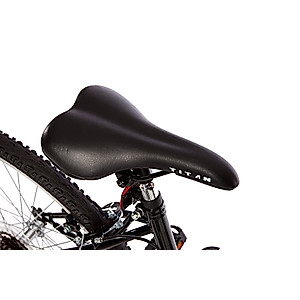 Titan Wildcat Ladies Mountain Bike (Purple/Black, 26-inch)