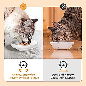 ComSaf Cat Food Water Bowl, Wide Shallow Ceramic Cat Dish, Non Spill Pet Bowl,10oz, Pack of 2