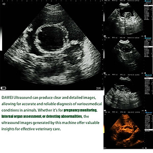 Dawei Vet Ultrasound Machine Portable Veterinary Handheld Scanner B-Ultra Sound with 3.5MHz Probe for pregnancy Pig,Sheep,dog,cat use