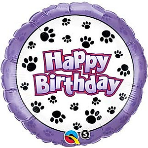 Bluey 2nd Birthday Party Supplies Balloon Bouquet Decorations With Paw Prints