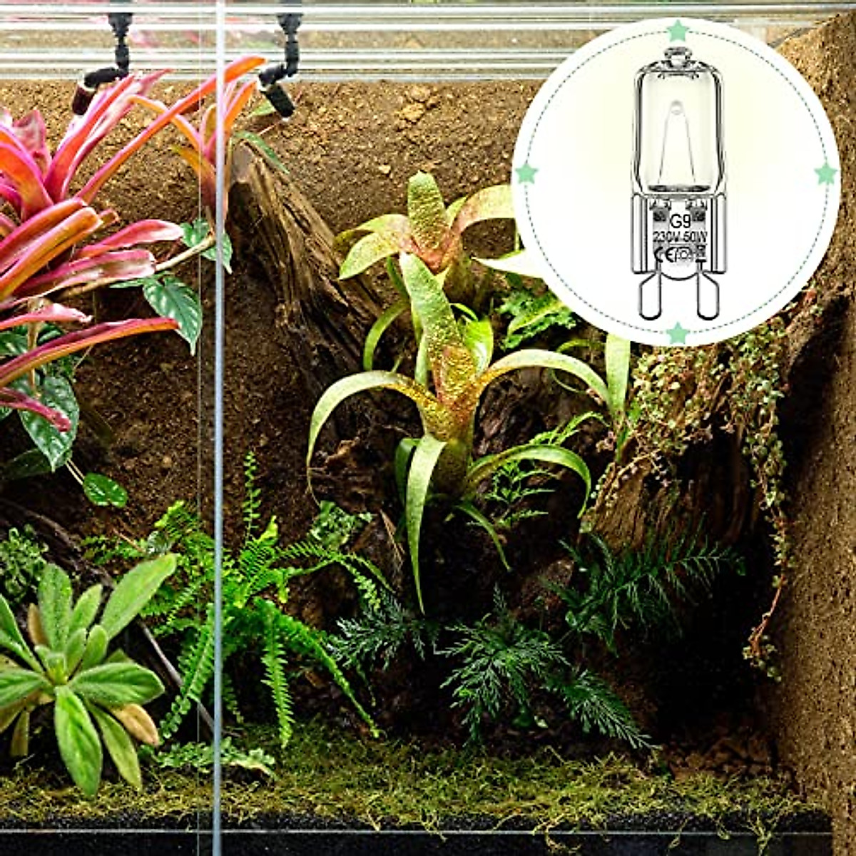 12 Pcs Mini Halogen Bulb Reptile Light G9 Uvb Bulbs Lamp Basking and Night Time Bulb Halogen Bulbs Beads Heat Lamp for Reptiles (50 Watts)