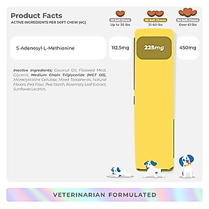 Same for Dogs - 90 Soft Chews - S-Adenosyl-L-Methionine - with MCT Oil for Better Absorption - Promotes Brain Health, Liver Support, and Cognitive Function