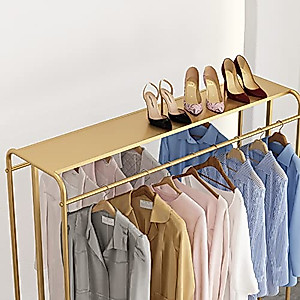 FONECHIN Heavy Duty Gold Clothing Rack for Boutique Use, Metal Garment Rack with Top Shelf, Dual-bar Clothes Rack for Retail Display
