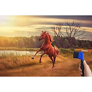 BRYHZKCM Horse Hoof Pick Brush with Soft Touch Rubber Handle,Portable Hoofpick,3Pieces,Random Colors