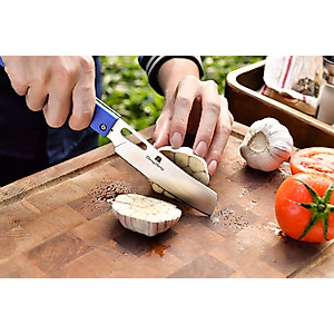 ZhengSheng Folding Chef Knife 4.8" Sharp 440A Stainless Steel Blade G10 Handle Pocket Foldable Kitchen Knife Utility Knife for Outdoor Camping Cooking