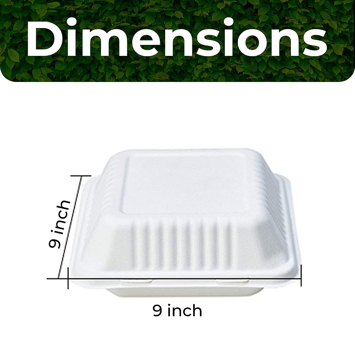 Urth Pak 9 inch” Biodegradable Take-Out Food Containers - Pack of 100 - Compostable TO-GO Boxes with Built-In Hinged Lid - Sustainable Material, To Go Boxes for Food, Clamshell Food containers, 9x9