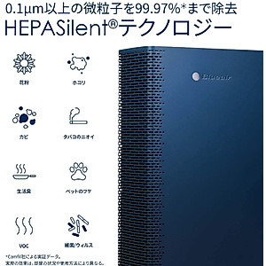 Blueair Sense+ Particle and Carbon 2-Pack Repalcement Filter, 1 Count (Pack of 1)