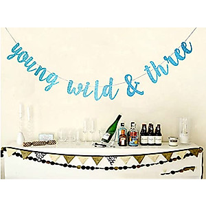 Young Wild and Three Banner -Blue Glitter Happy 3rd Birthday Party Decoration Bunting Photo Props，Children's Birthday Party Supplies
