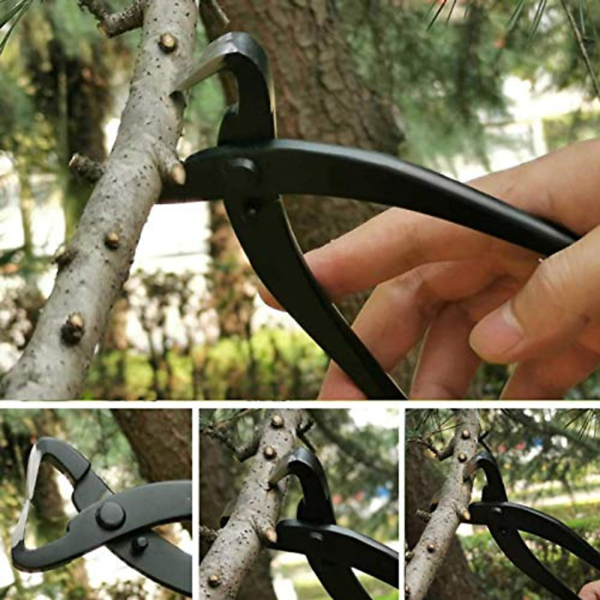 Pruning Shears, Bonsai Tools Bonsai Tool Kit Stainless Steel for Bonsai for Plant for Orchard for Garden