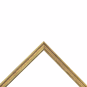 Museum Collection Piccadilly Artist Vintage Picture Frames - 16x20 Gold - Single Frame for 1/2" Canvas, Paper and Panels, Museum Quality Wooden Antique Frame, Does not Include Glass or Backing