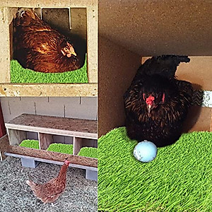 PetierWeit Chicken Nesting Pads 6Pack Nesting Box Pads 12”x12” Artificial Grass Washable Chicken Coop Bedding Laying Rug Fake Turf Mats Grass Carpet Garden Lawn for Chicken Hen Small Pets