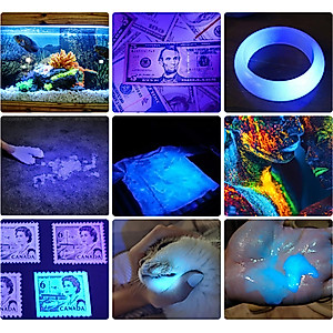 DARKBEAM UV 365nm Light Wood's lamp Blacklight Ultraviolet Flashlight LED Portable Mini Handheld Torch Detector for Dog Urine Pet Stains 370nm Anti-counterfeiting Identification, Resin Curing