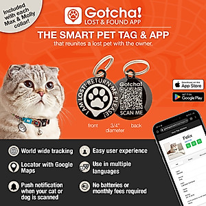 Max & Molly Fun & Whimsy Cat Collar with Jingle Bell, Breakaway Safety Buckle, Adjustable Sizing & Smart ID Personalized Tag for Girl or Boy Cats/Kittens, Comic Design