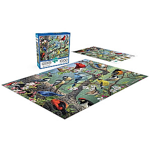 Buffalo Games - Hautman Brothers - Birds in an Orchard - 1000 Piece Jigsaw Puzzle