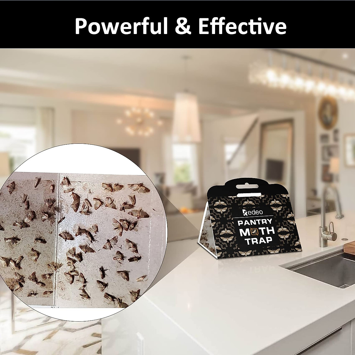 Redeo Pantry Moth Traps with Pheromones Safe and Non-Toxic Sticky Glue Trap for Food, Cupboard and Meal Moths in Your Kitchen Pantry Moth Killer with No Insecticides for House (6)