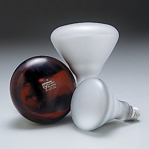 Shat-R-Shield 01697W Food Heat Lamp Shatterproof Bulb Clear, CS of 2ea