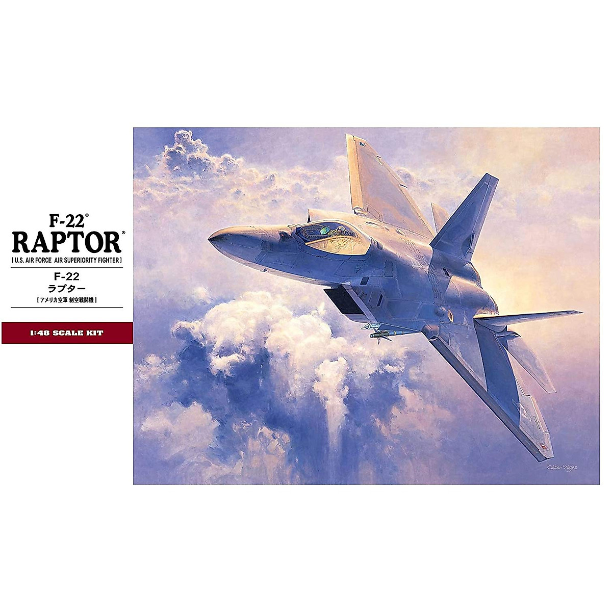 Hasegawa 1/48 F-22 Raptor USAF