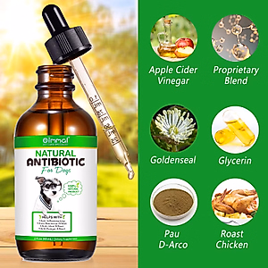 Natural Antibiotics for Dogs - Pet Antibiotic - Healing Aid and Skin Repair for Wounds, Sores, and Abrasions, Helps with Itchy and Irritated Skin - Duck Flavor