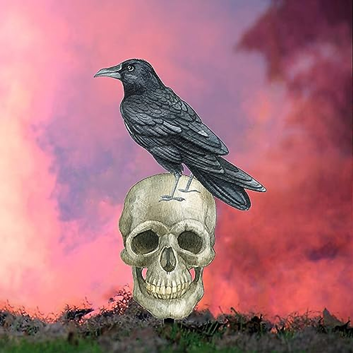 Halloween Yard Sign Crow On Skeleton Head Scary Stakes Yard Decorations Halloween Party Decorations Garden Stakes Decor Yard Signs Yard Art for Patio, Garden, Porch Halloween Party Decor 1 Pack