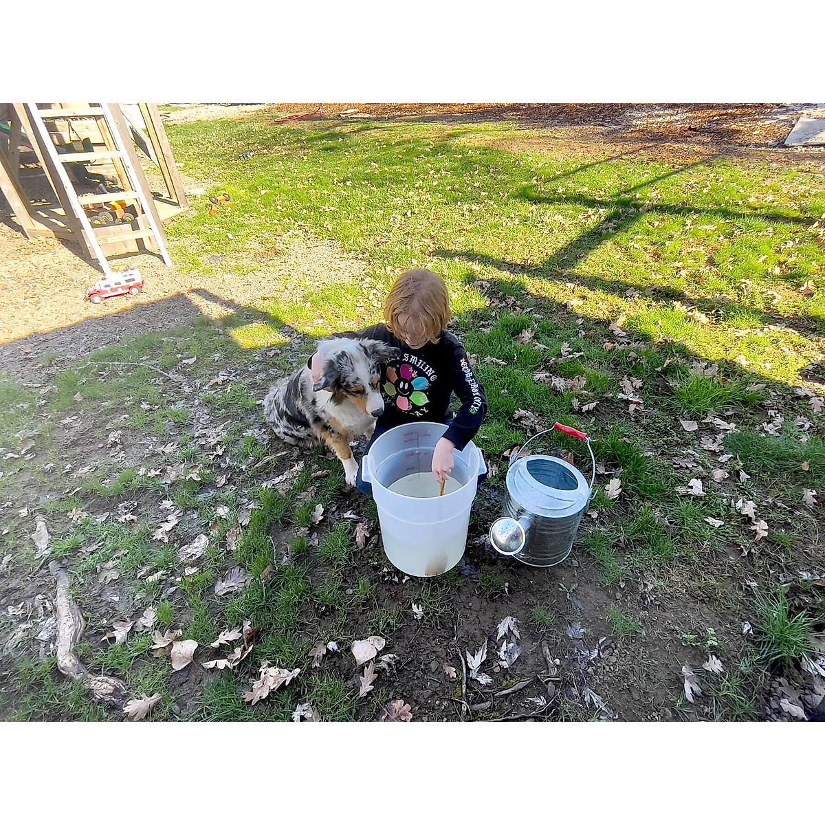 Natures Good Guys Beneficial Nematodes Steinernema Feltia (SF) 5 Million