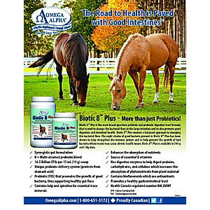 Omega Alpha Biotic 8 2.2lbs for horses