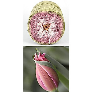 Stenli Yarns Candy (867)