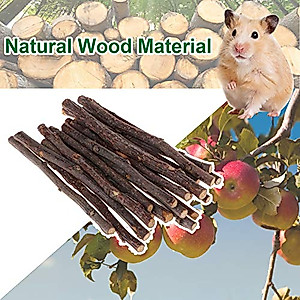 NEREIDS NET 300g Hamster Natural Snack Kit Apple Sticks, Teeth Grinding Toy, Timothy Hay Sweet Bamboo Chew Teeth Care Wood Toys for Gerbil Bunny Chinchilla Guinea Pig Pets Food