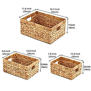 EZOWare Set of 3 Natural Water Hyacinth Wicker Baskets, Environmental Friendly Natural Storage Organizer Nesting Boxes with Handle - Mixed Size (1 Large, 1 Medium, 1 Small)