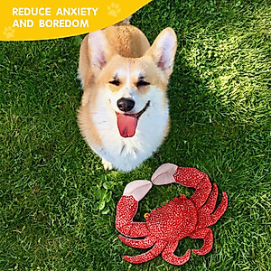 SUJOER Squeaky Crab Dog Toy,Dog Birthday Toy,Interactive Dog Toys for Boredom,Pink Puppy Dog pals Toy,Funny Toys for Dogs to Keep Them Occupied,Cute Best Dog Toys to Keep Them Busy