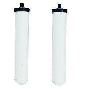 Mountain Plumbing 661RFC Mountain Pure Replacement Cartridge for Water Filtration System. [Two Pack]