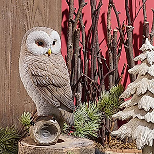 LC LCdecohome Owl Outdoor Statues Garden Yard - Decoration Home Decor Indoor Desk Tabletop Collectible Figurines Ancient Retro Collection 11" x4.5" x5 Inch