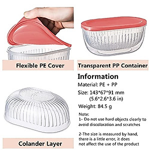 Food Storage Container with Colander Layer, Refrigerator Fresh-keeping Container Bowl Multifunctional Vegetable Fruit Liquid Storage Container Sealed with Lids Kitchen Essentials, 18 oz (Red)