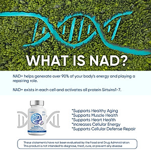 Zenlifer 240 Capsules NAD+ 1000MG Resveratrol Boosting Supplement - More Efficient Nicotinamide Riboside for Cellular Energy Metabolism & Repair, Vitality & Healthy Aging