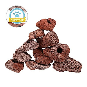 POPETPOP 10pcs Volcanic Rocks Ornament Plant Pot Ring for Aquarium Plants Aquatic Plant Fixed Ring for Aquarium Decoration Fish Tank Accessories